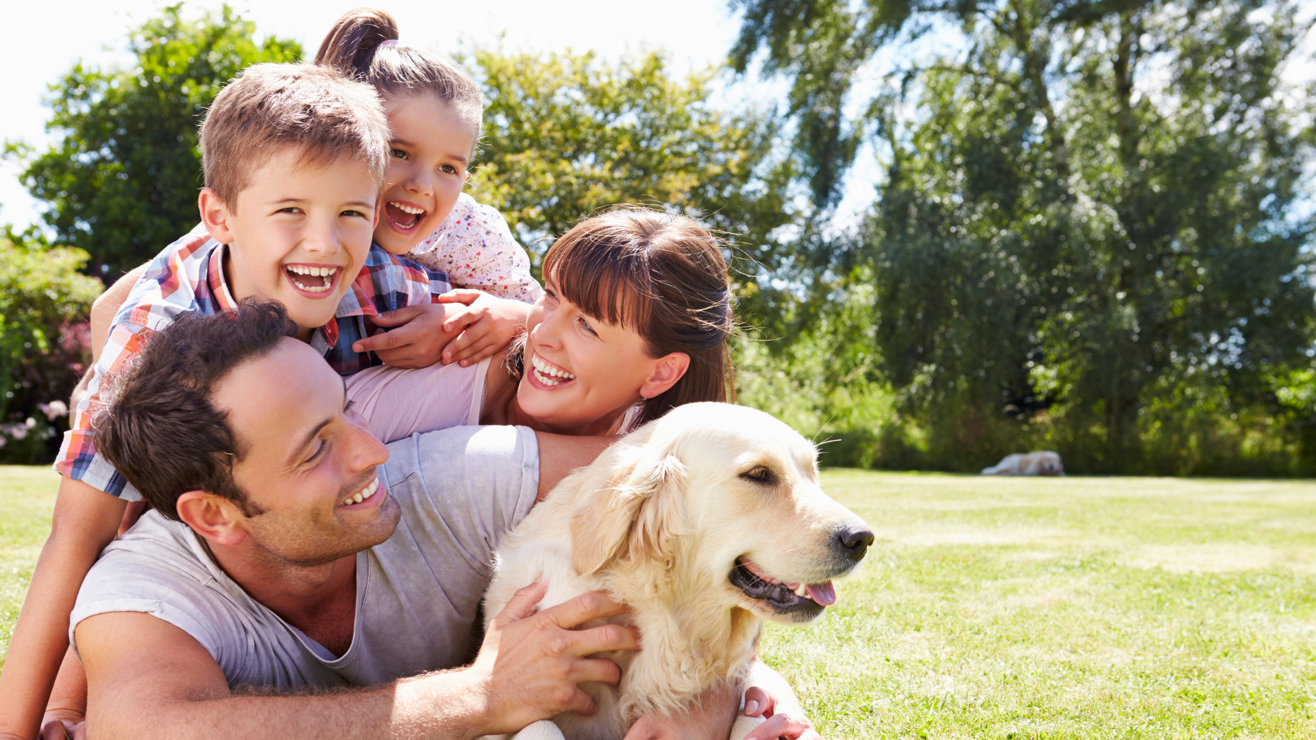 How to Build Generational Wealth - Bloom Investment Counsel, Inc.