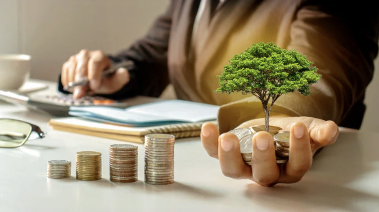 How to Start Building Wealth as a Young Adult - Bloom Investment ...